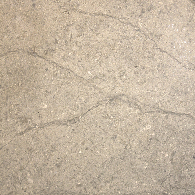 EC Medici Silver | Ellingard Collection