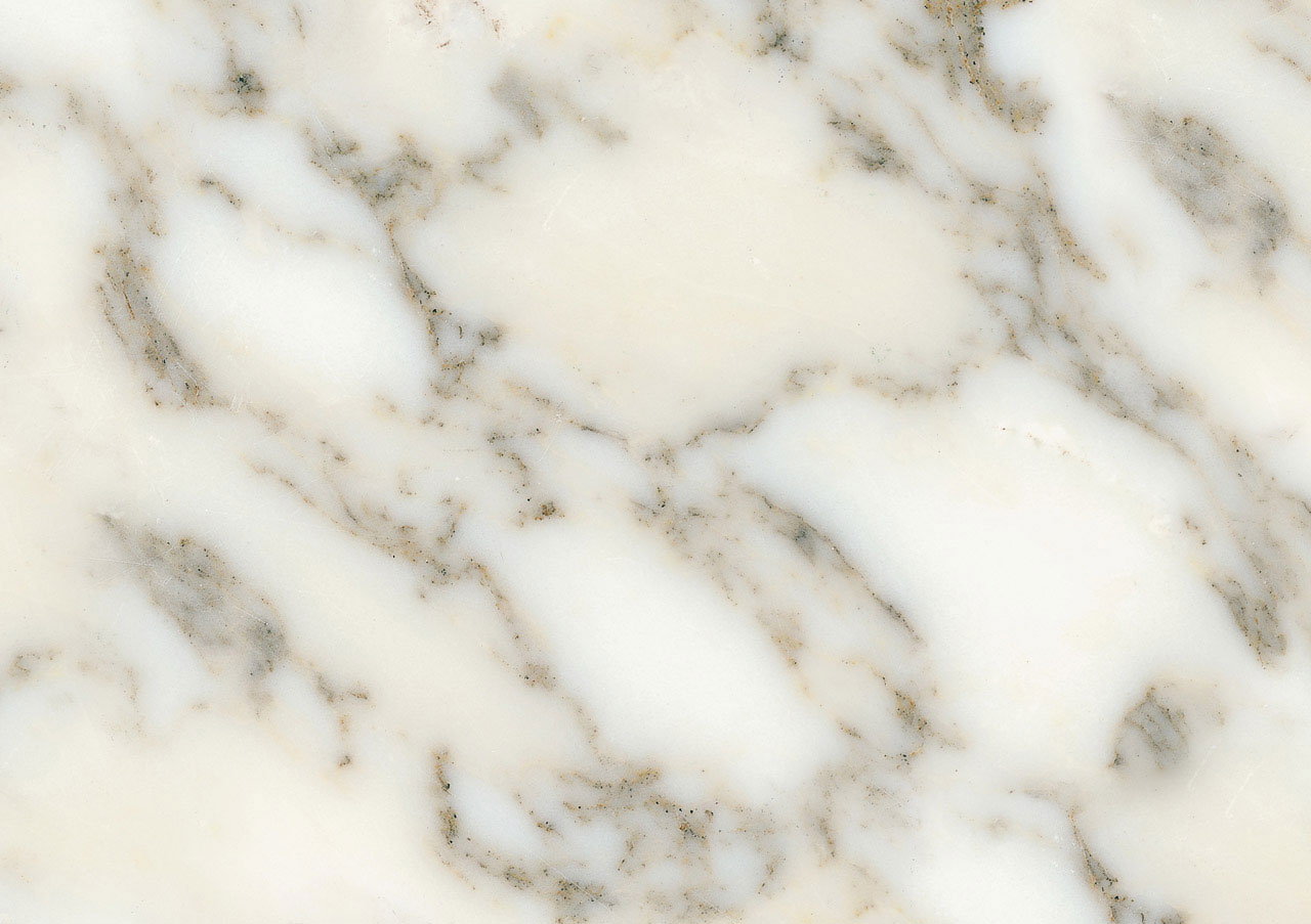 Calacatta Arni | Ellingard Collection