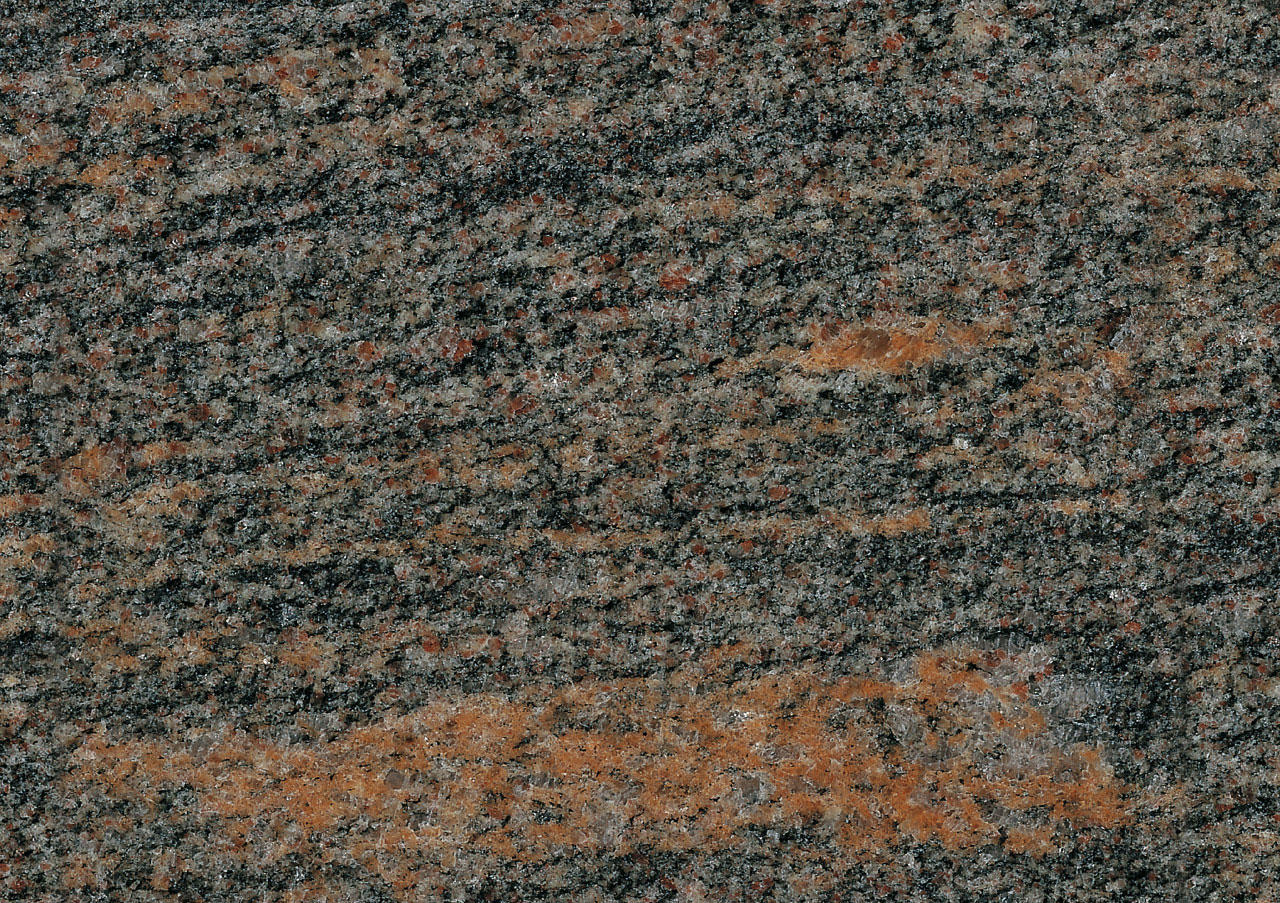 Paradiso Bash | Ellingard Collection